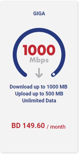 Business Fibernet Essential-GIGA - Northstar Telecom